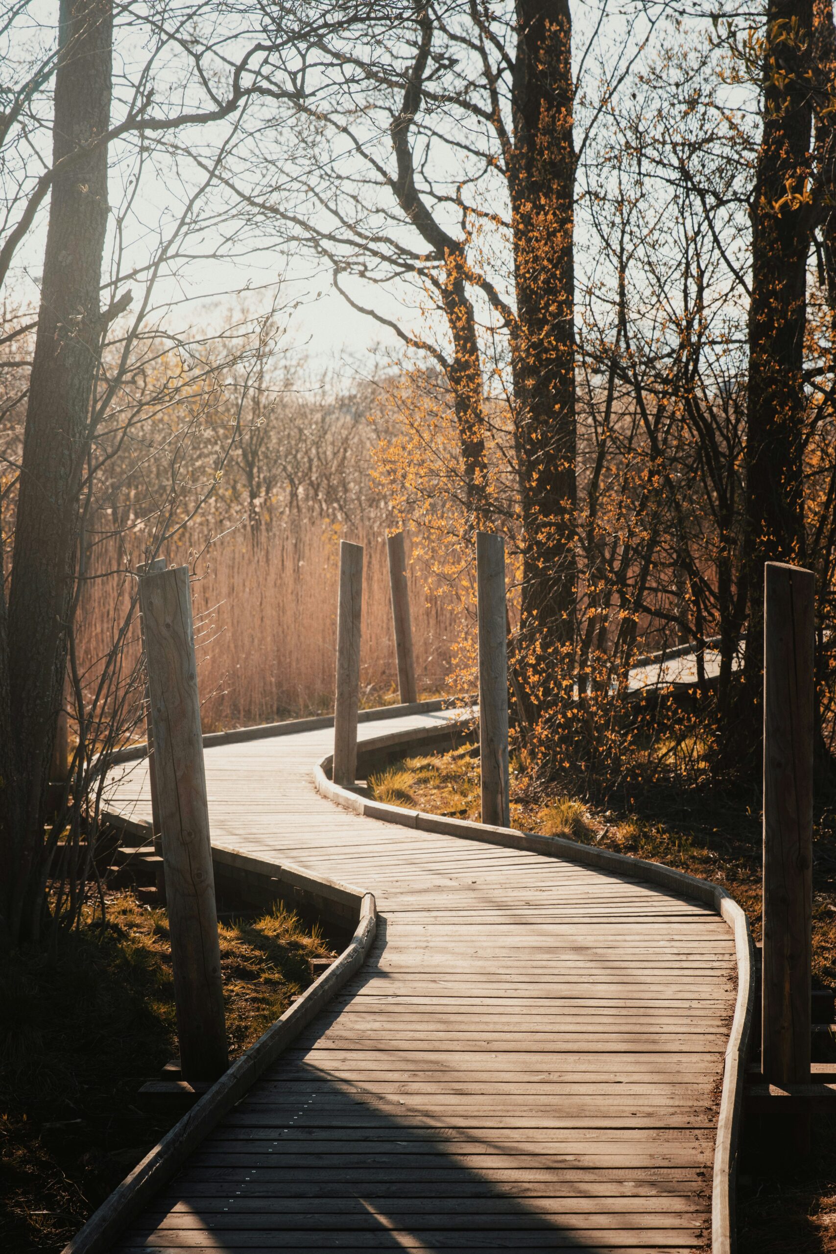 Faith Path | Parkway Bible Church